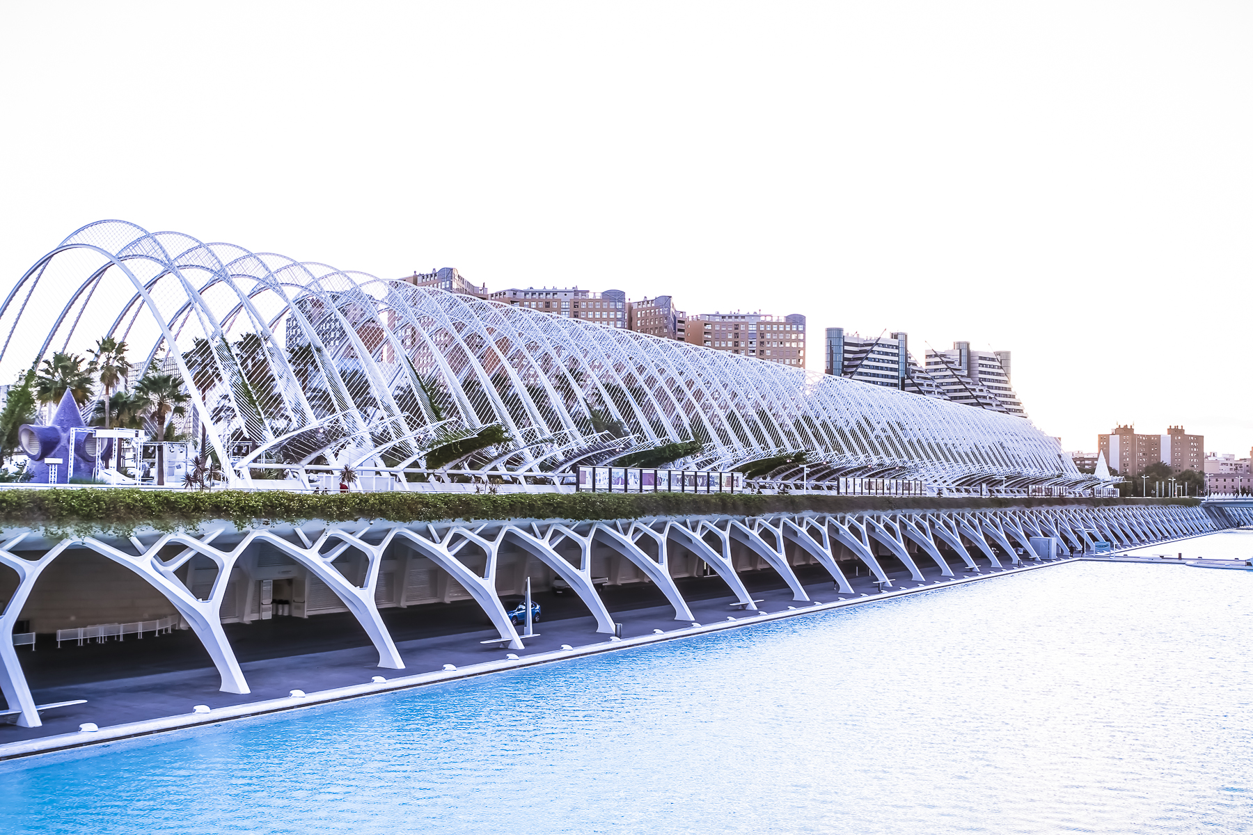 UMBRACLE ESPECIAL EVENTOS